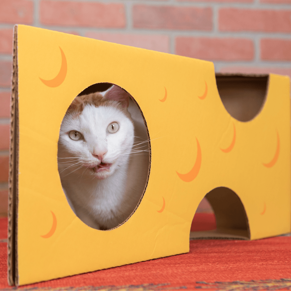 Giant Cheese Wedge Cardboard Cat House | Cat in the Box LLC
