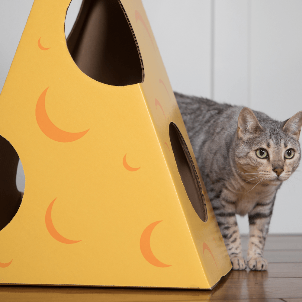 Giant Cheese Wedge Cardboard Cat House | Cat in the Box LLC