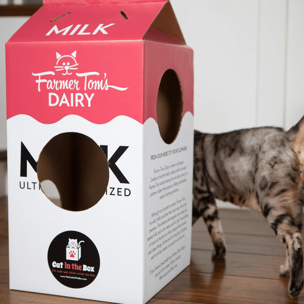 Giant Milk Carton Cardboard Cat House | Cat in the Box LLC