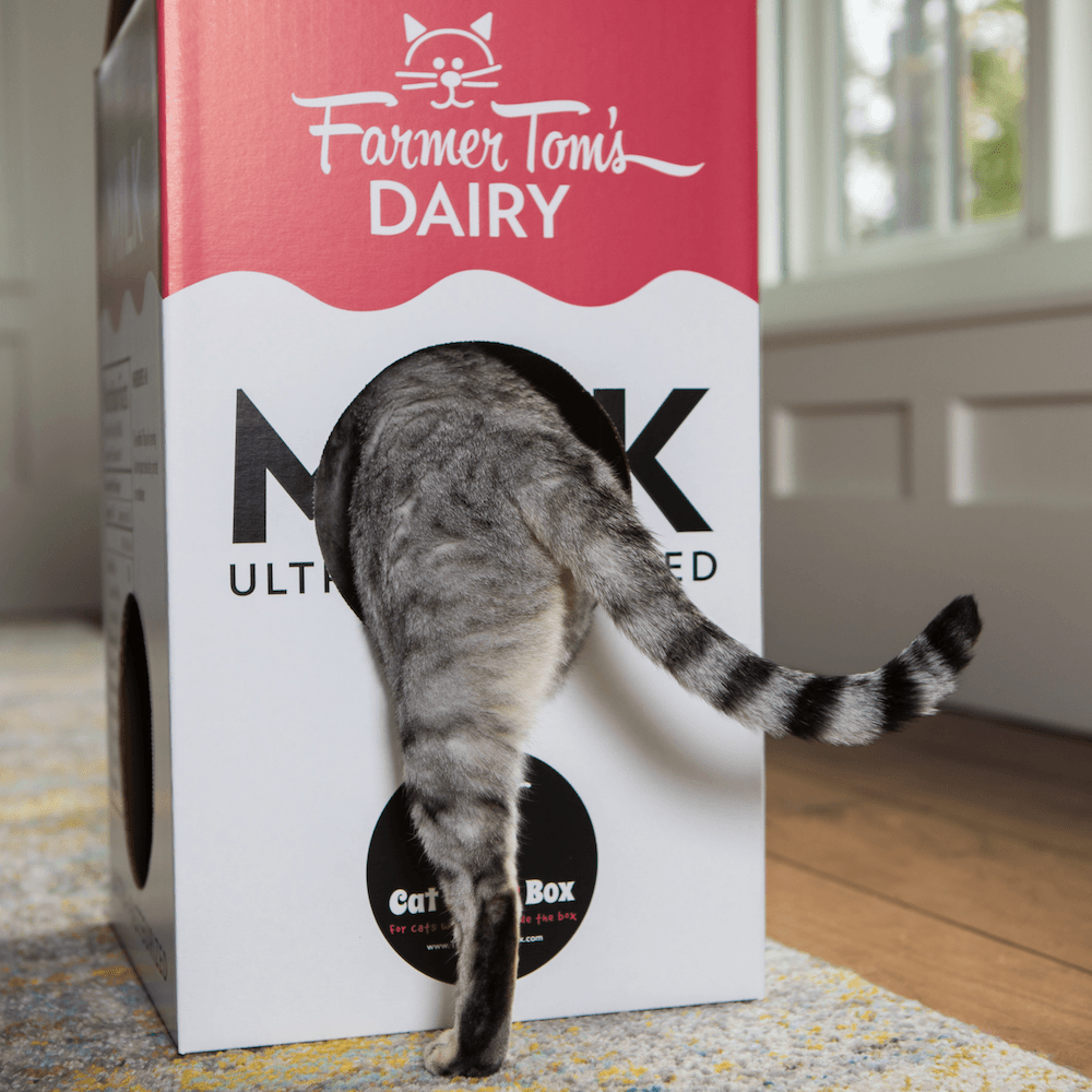 Giant Milk Carton Cardboard Cat House | Cat in the Box LLC