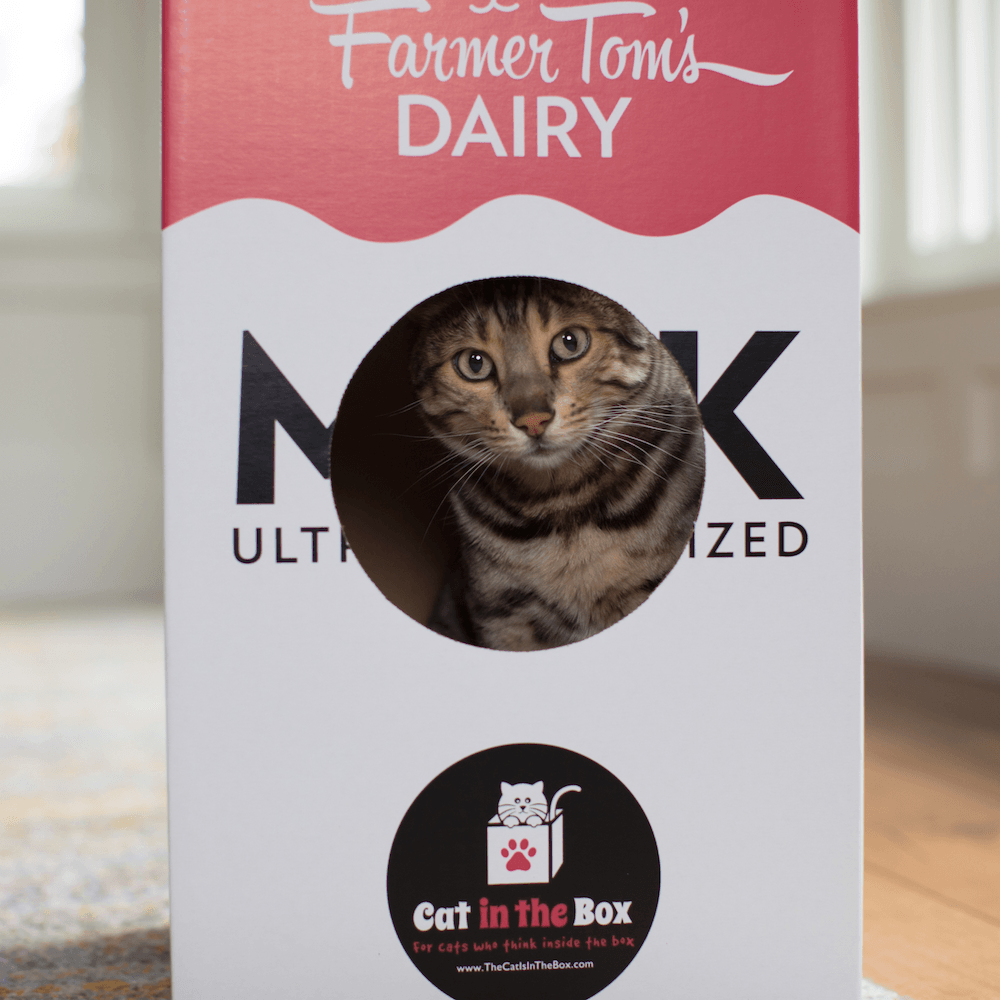 Giant Milk Carton Cardboard Cat House | Cat in the Box LLC
