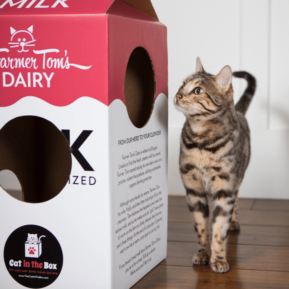 Giant Milk Carton Cardboard Cat House | Cat in the Box LLC